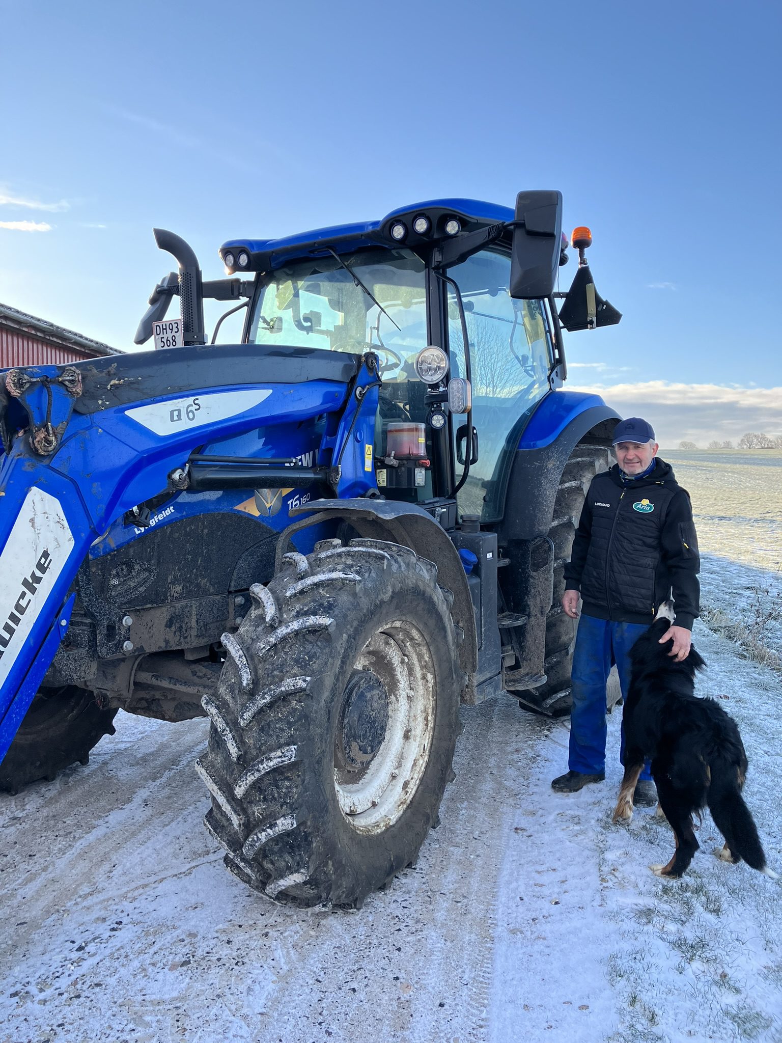 Om lyngfeldt - Lyngfeldt